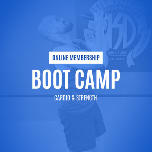 Online Boot Camp Classes | Academy of Self Defense Library