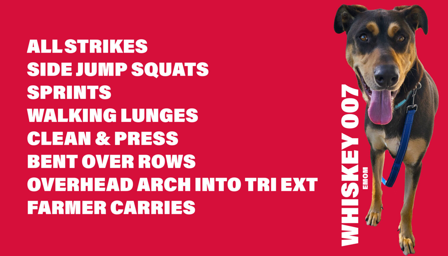 Whiskey 007 - Academy of Self Defense