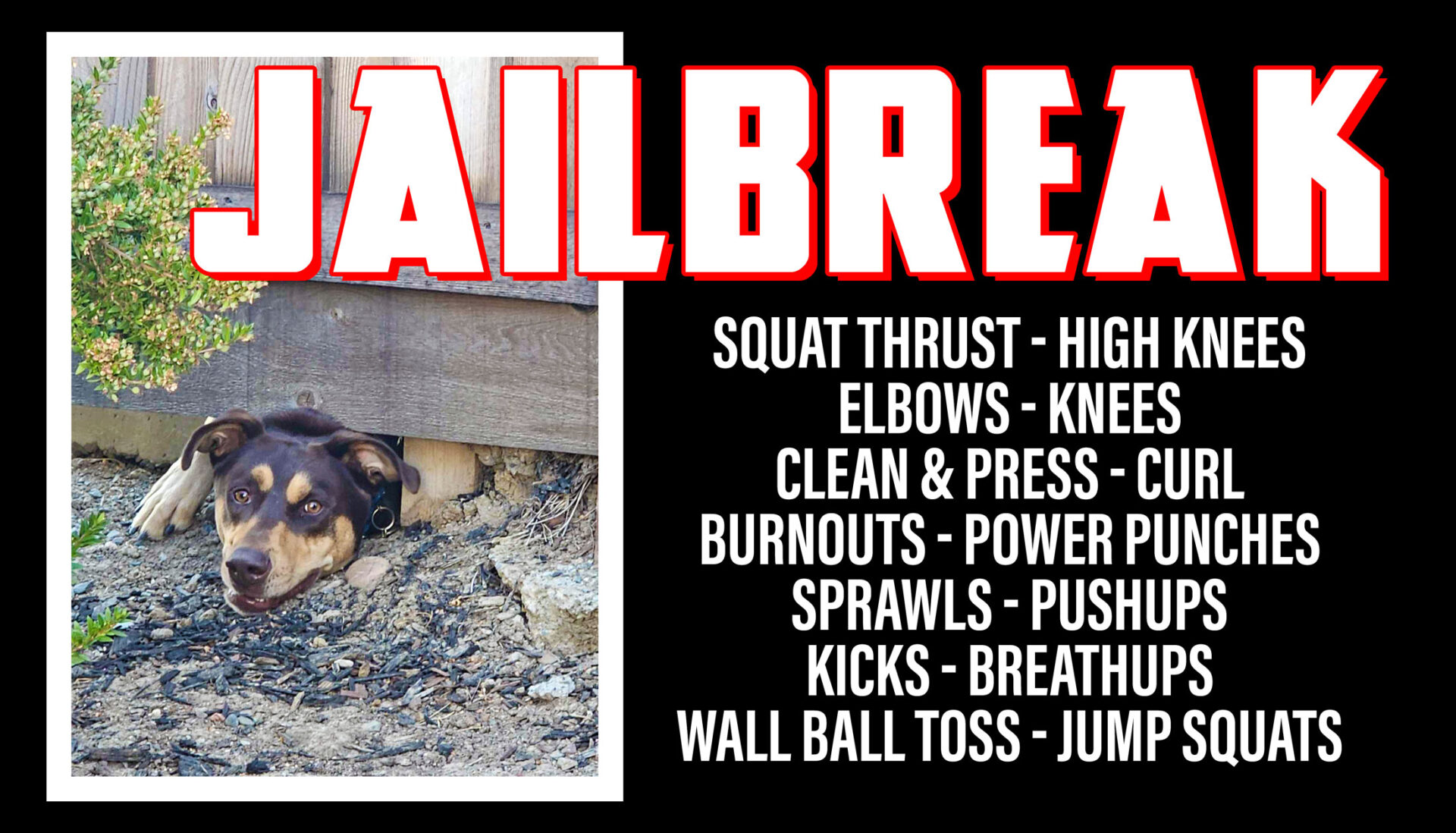 Jailbrake - Academy of Self Defense