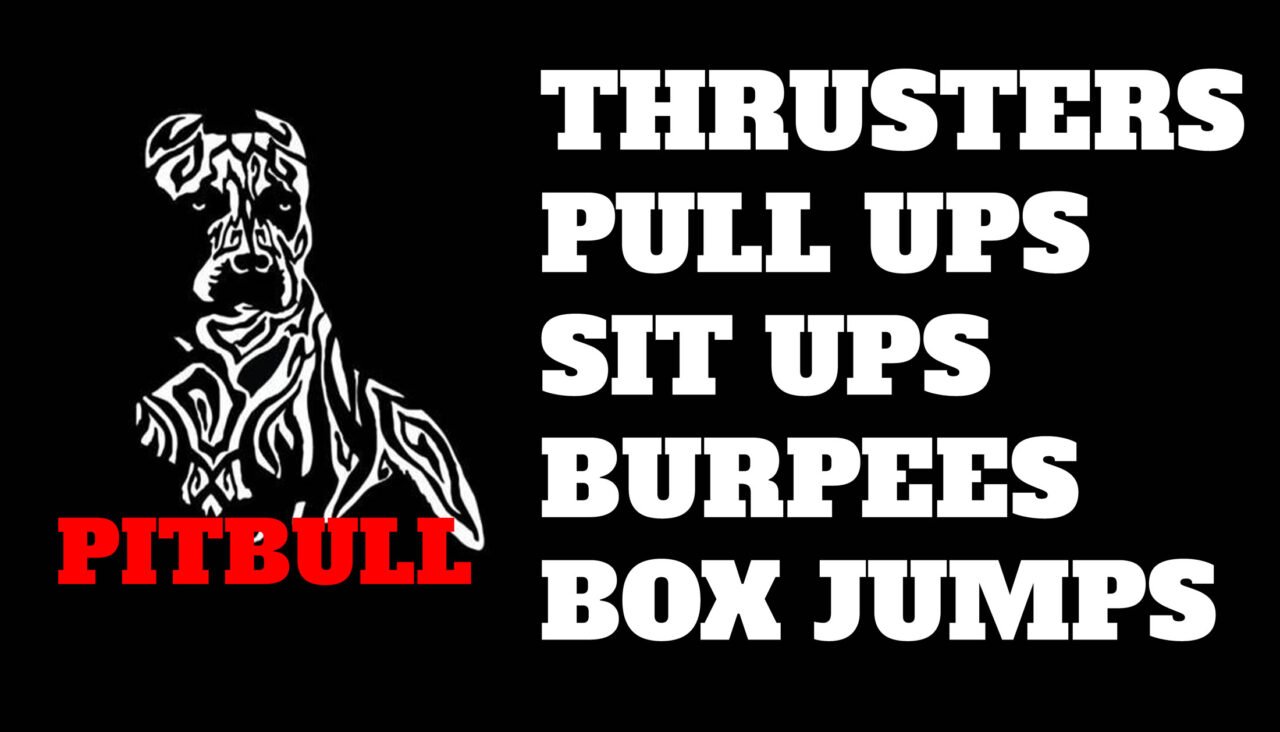 Pit Bull - Academy of Self Defense