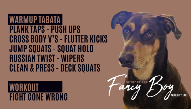 Fancy Boy Whiskey Dog - Academy of Self Defense