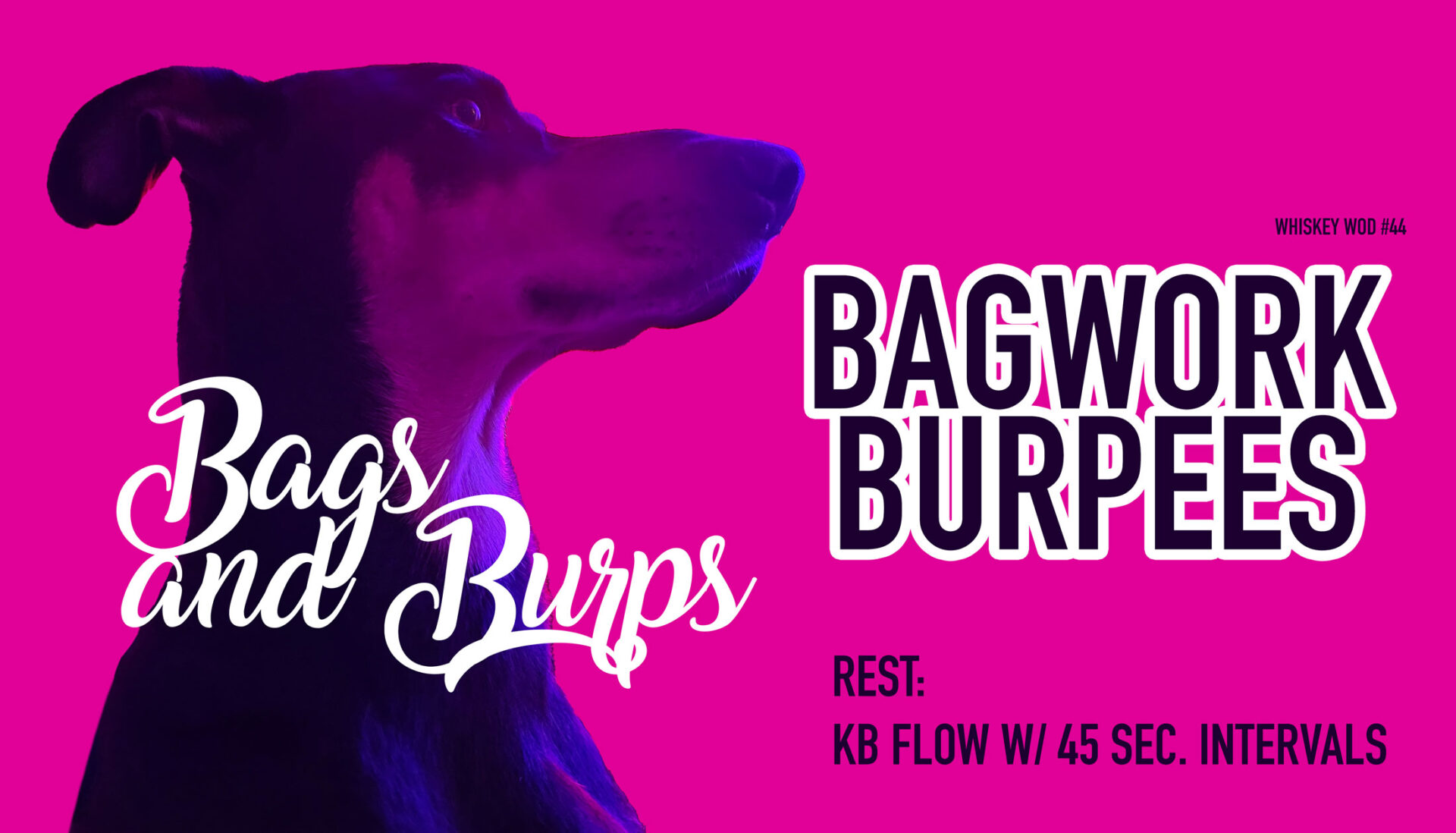 Bags and Burpees - Academy of Self Defense