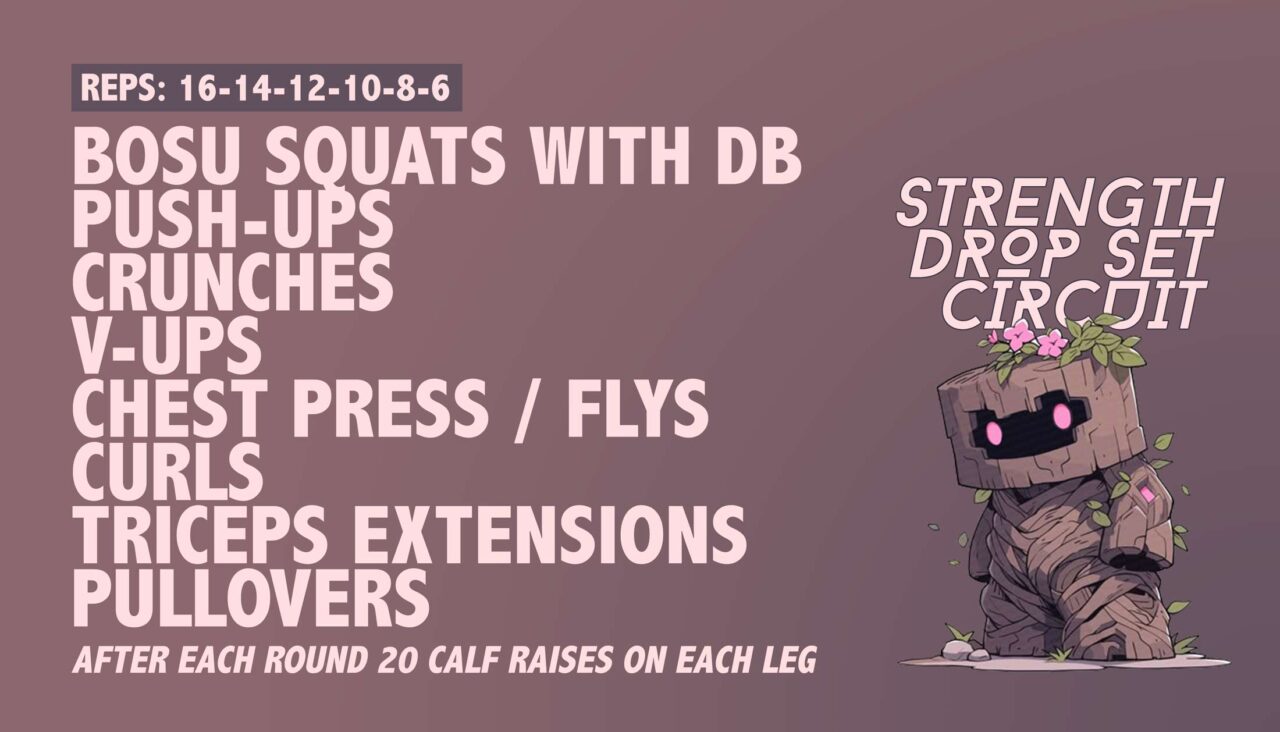 Strength Drop Set Circuit - Academy of Self Defense